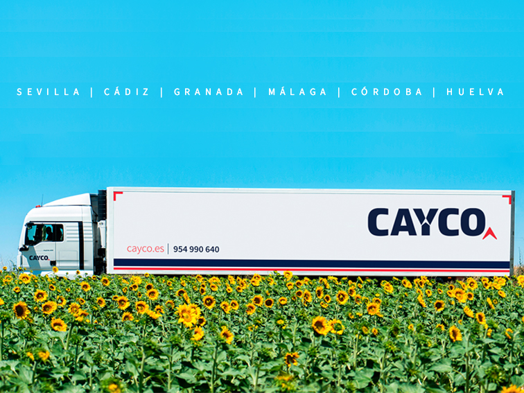 EMPRESA - CAYCO